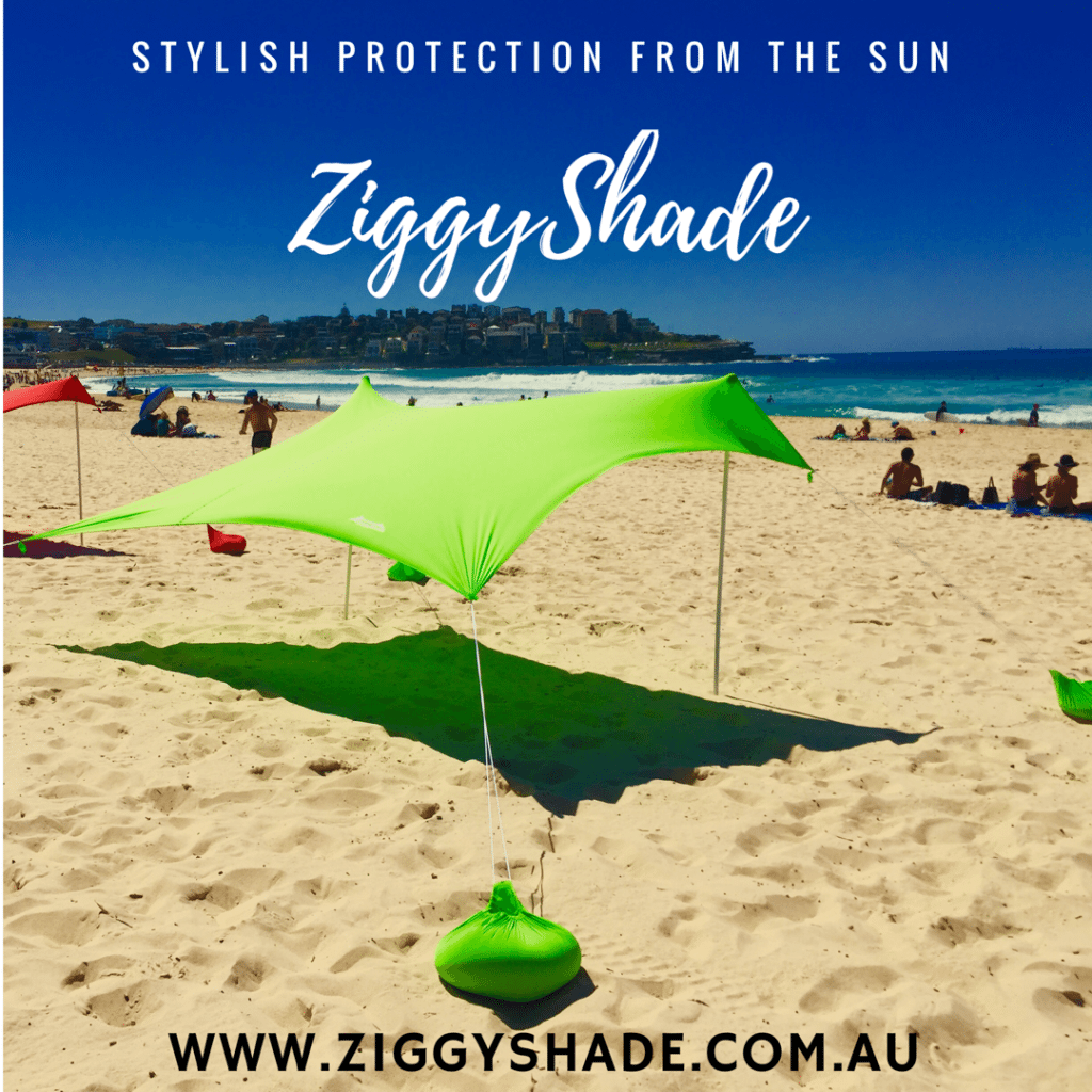 ZiggyShade – ZiggyShade