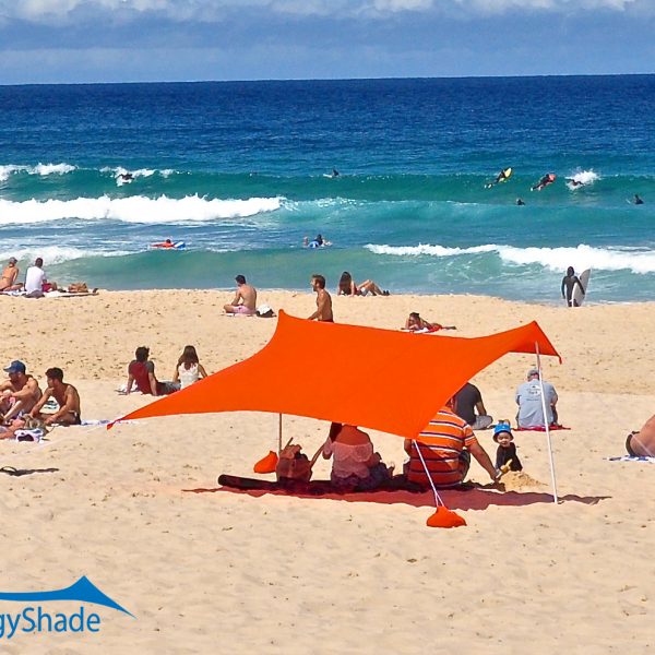 ZiggyShade – ZiggyShade